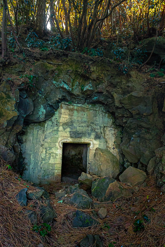 Tragedy and Resilience: The Many Faces of Jeju Island – The Chemist and ...